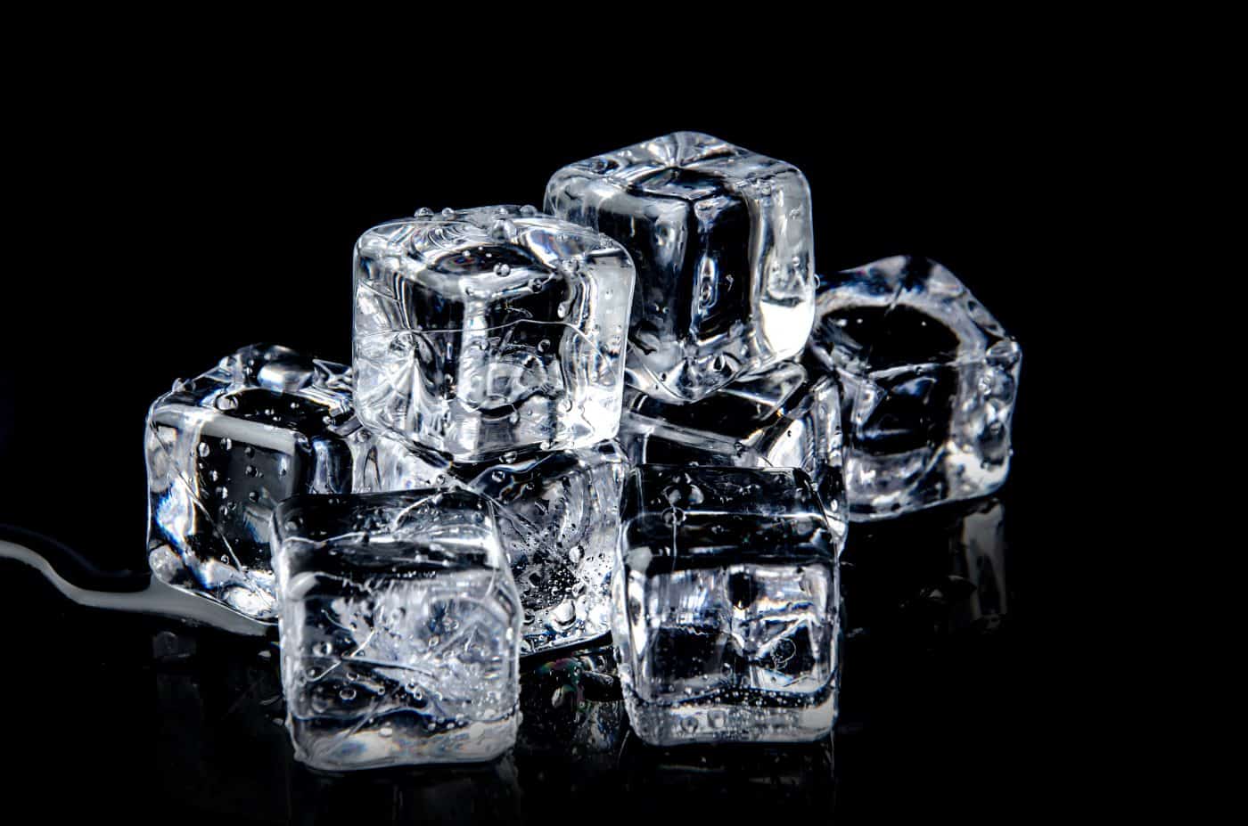 Pricing – Sniffing Frog